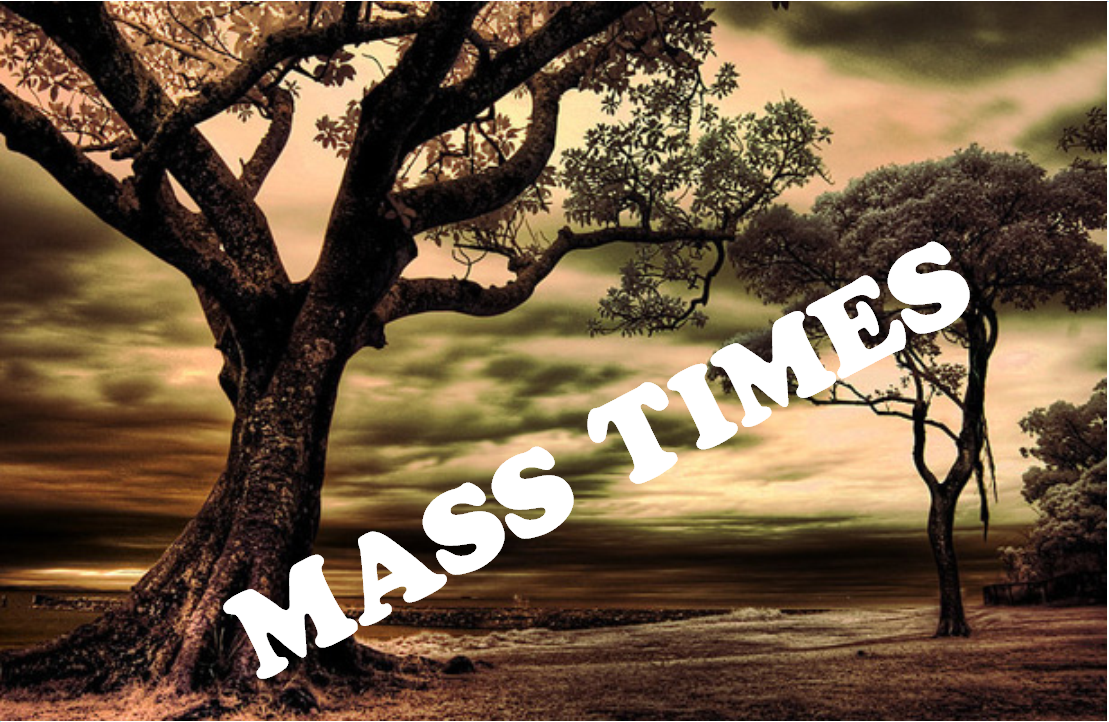 MassTimes – All Saints Catholic Church Milwaukee